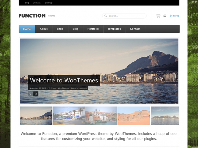 Presenting the Function theme: A theme that does what it says on the ...