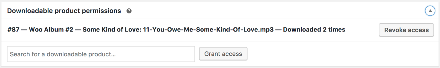 Digital/Downloadable Product Guide Documentation - WooCommerce
