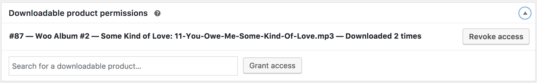 Digital/Downloadable Product Guide Documentation - WooCommerce