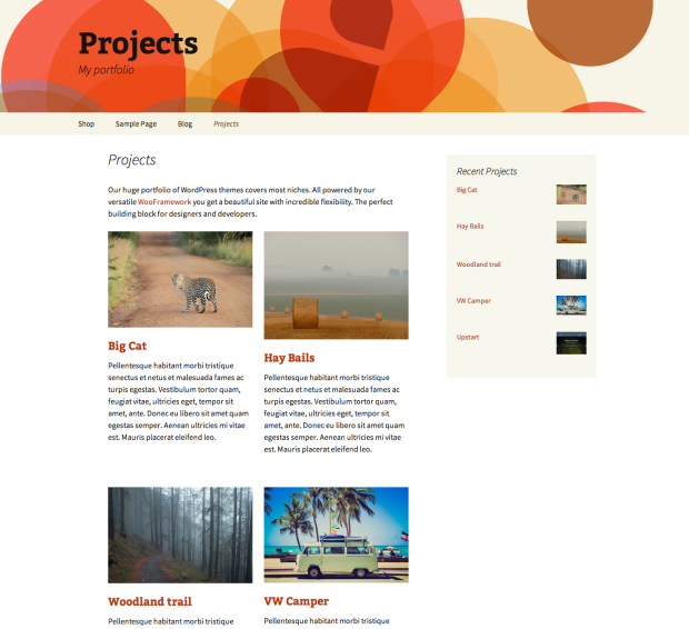 Introducing Projects, our brand new Portfolio plugin for WordPress ...