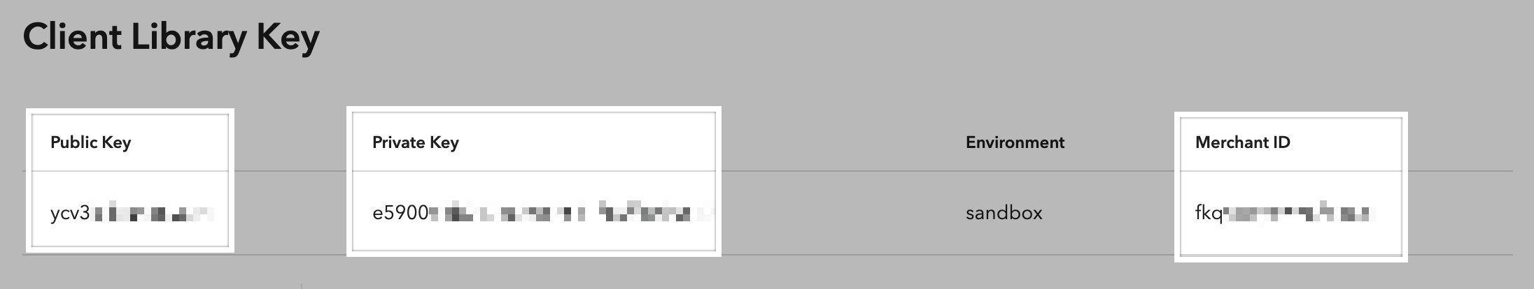 PayPal Braintree Documentation - WooCommerce