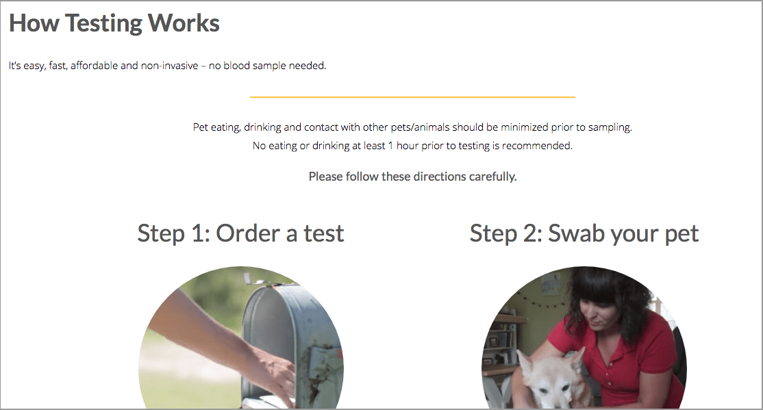 GenSol Case Study: Affordable Canine Genetic Testing on WooCommerce