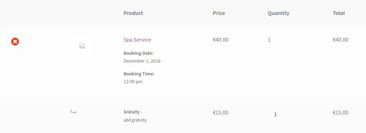 Use Case: Spa Service Documentation - WooCommerce