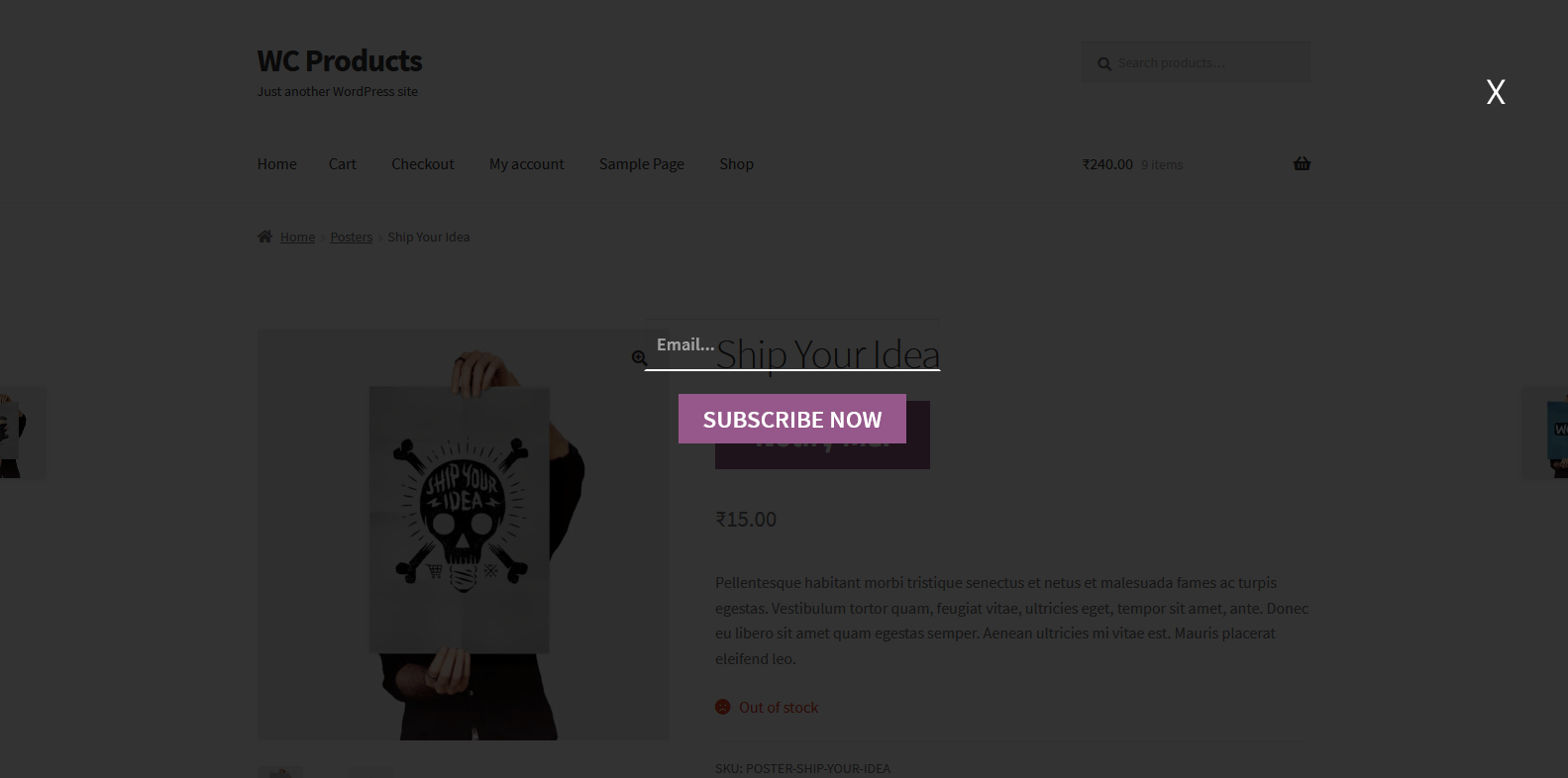 Countdown & Notifier for WooCommerce Documentation - WooCommerce