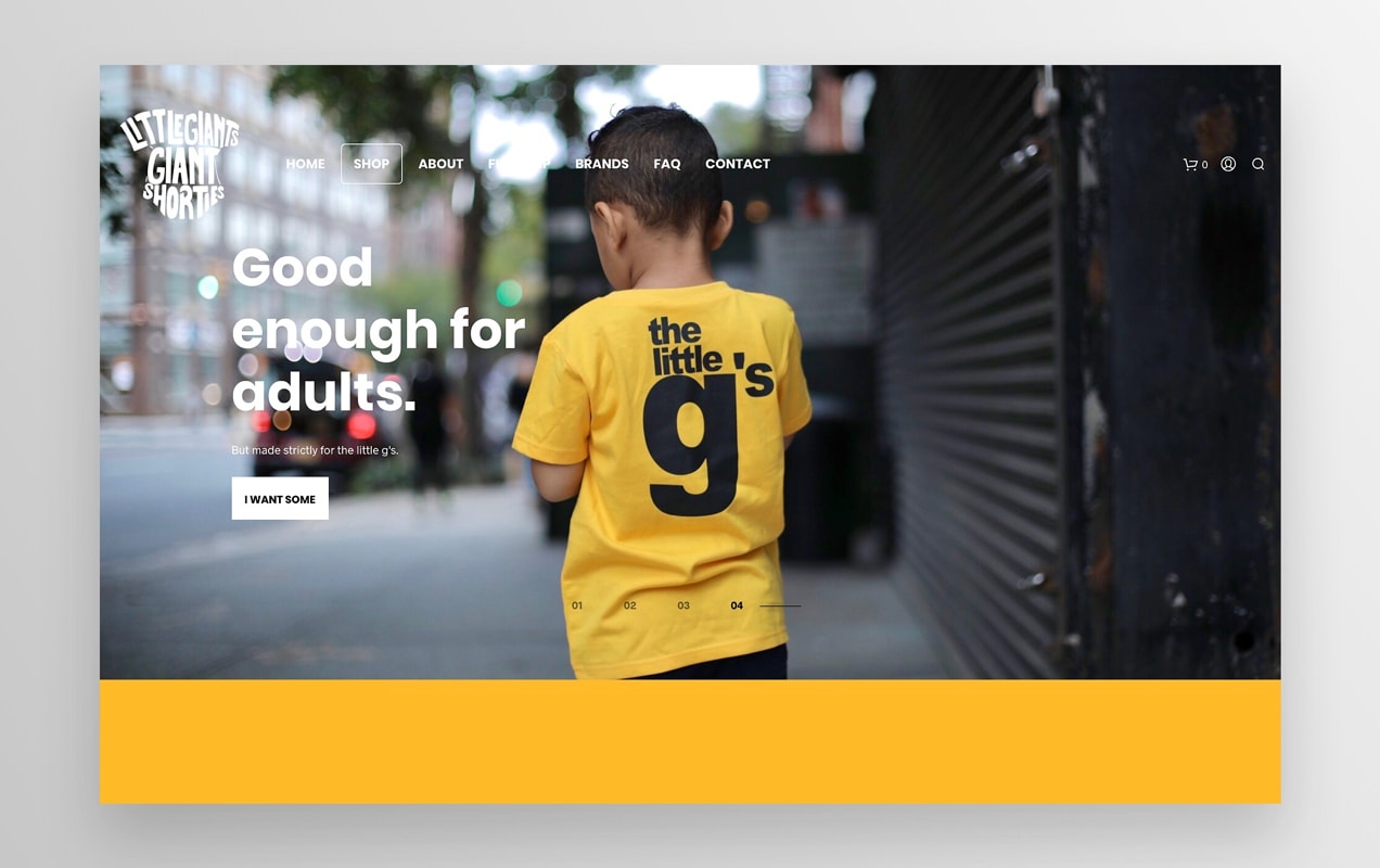 Lessons from Successful Online Store Owners