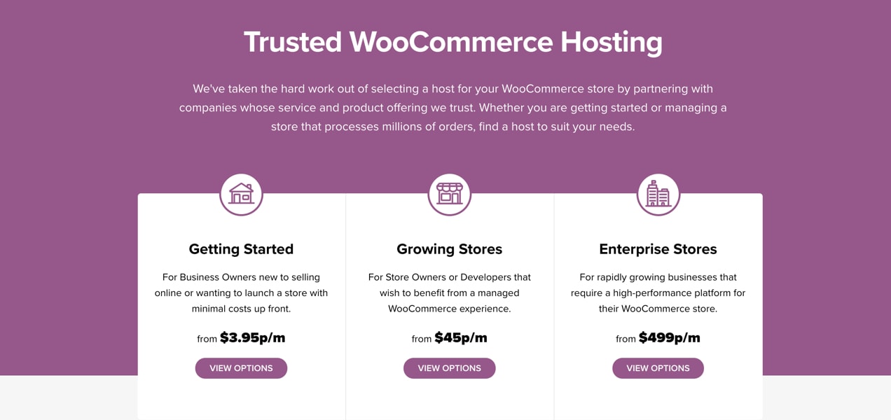 Protect Your Woocommerce Store Security Essentials And Solutions