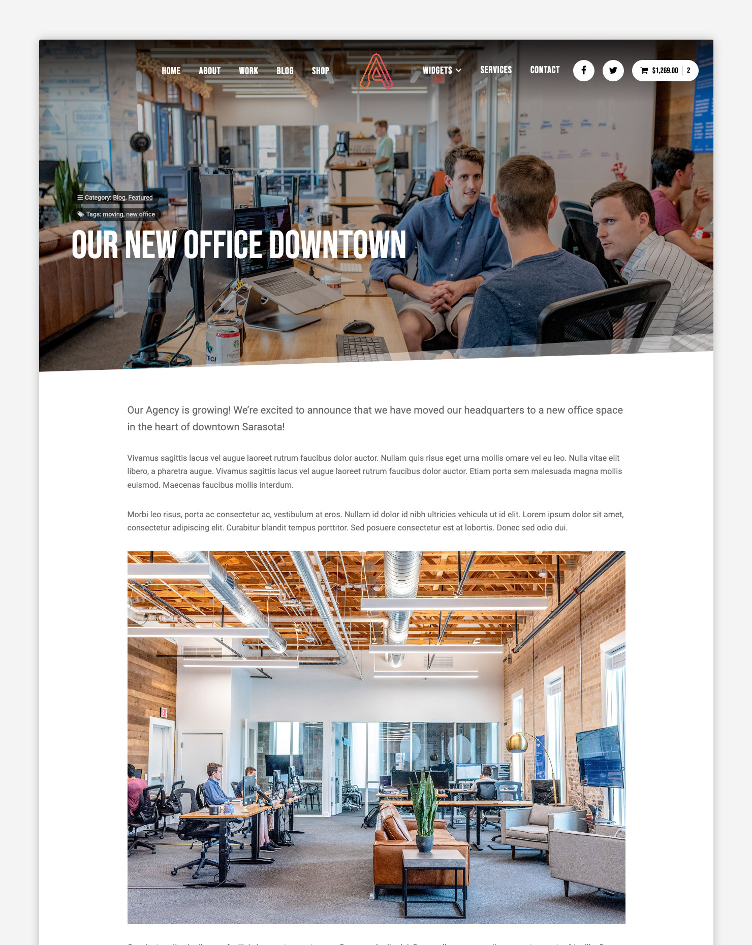 Agency - WooCommerce Theme