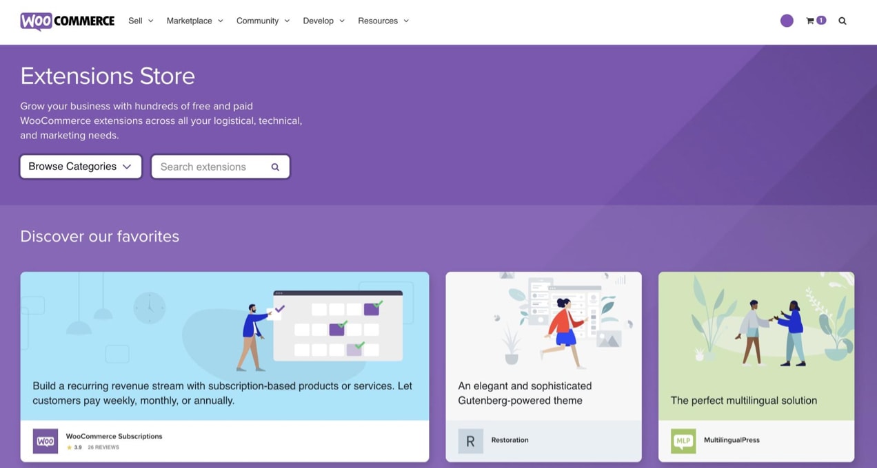 Choosing the Best WooCommerce Extensions for Your Store