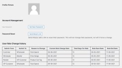 Automatic User Roles Switcher Documentation - WooCommerce