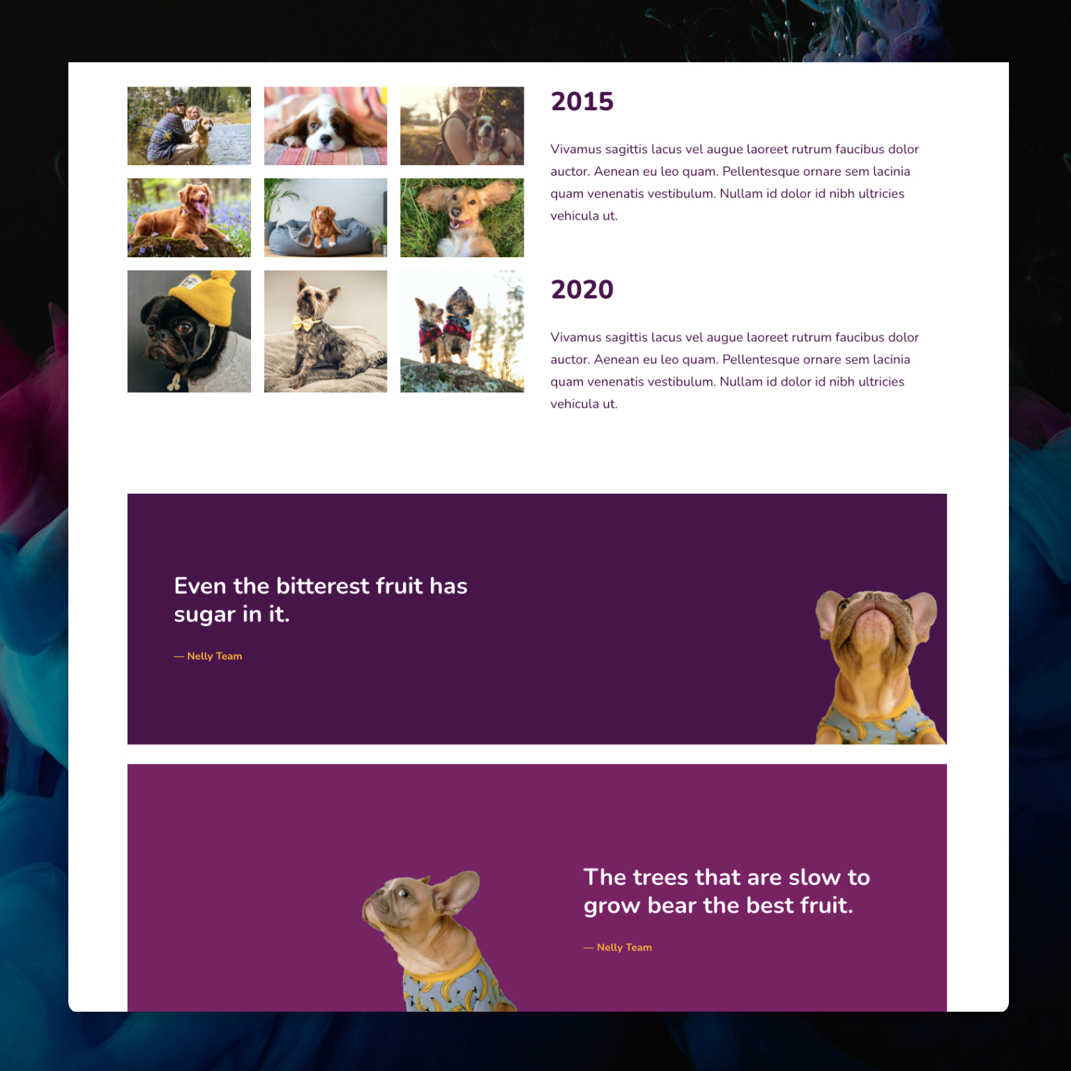 Nelly - Pet Fashion WooCommerce Theme