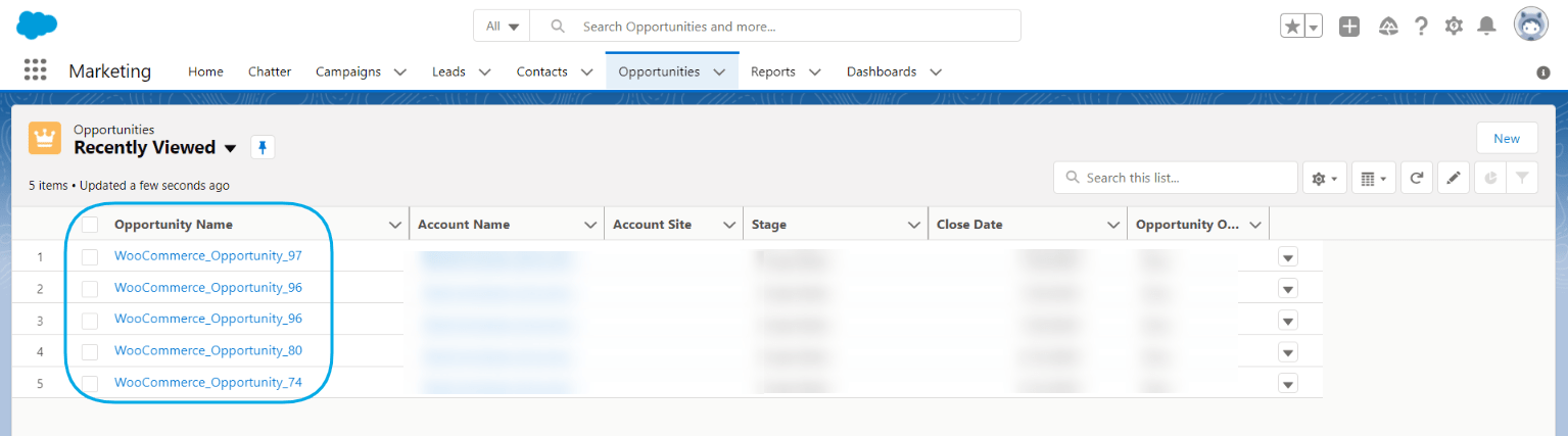 Salesforce Integration for WooCommerce | WP Swings