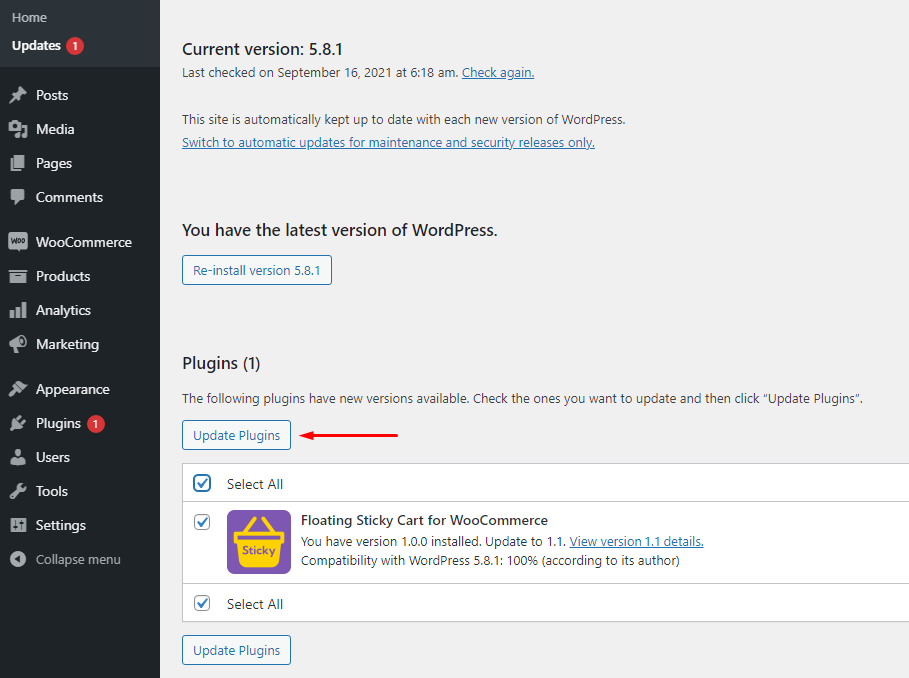 Floating Sticky Cart Documentation - WooCommerce