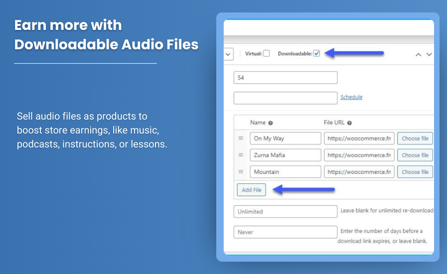 Audio Player for WooCommerce - WooCommerce Marketplace