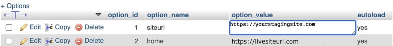 What is a WordPress Staging Site and How Do You Set One Up?