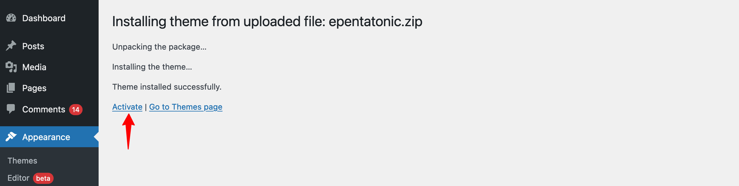 ePentatonic Theme Documentation - WooCommerce