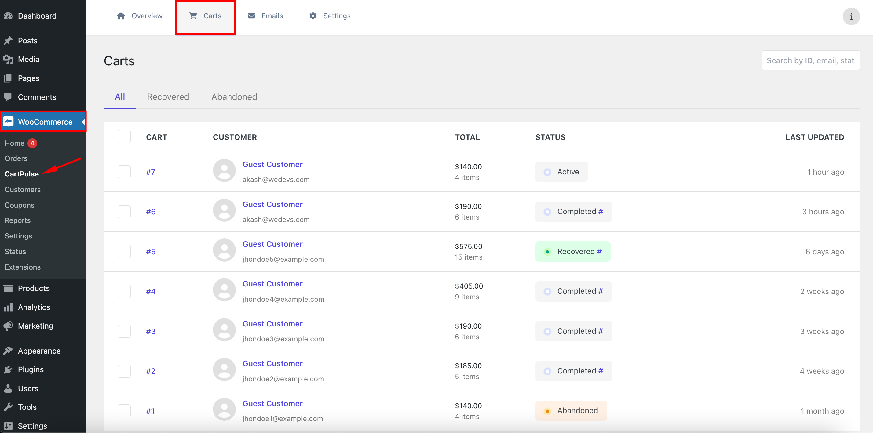 CartPulse Documentation - WooCommerce