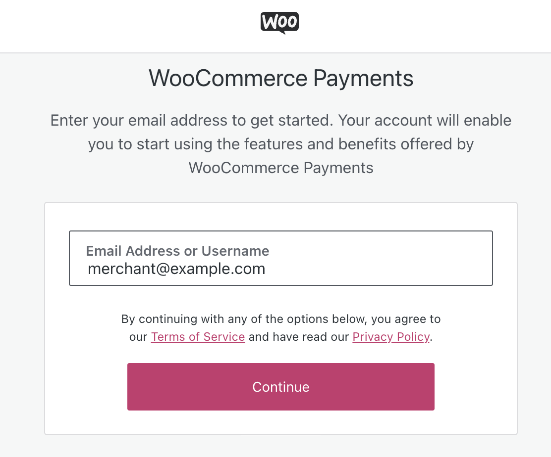 WooCommerce Payments: Startup Guide - WooCommerce