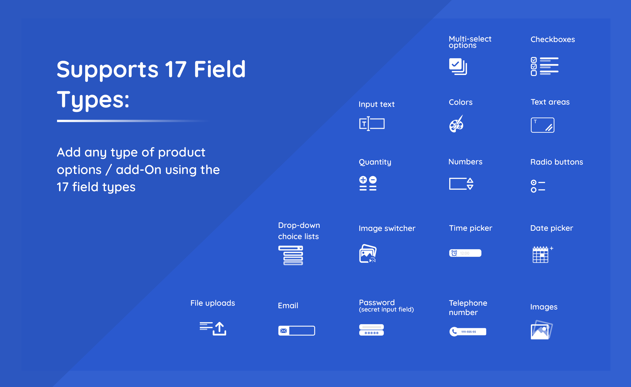 Woocommerce Product Options Add Custom Product Add Ons 4446