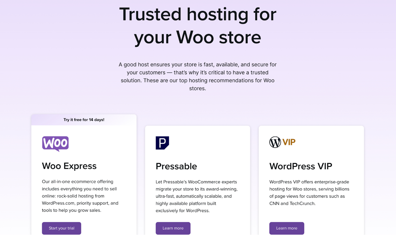 WooCommerce Pricing: How Much Does it Cost to Run a Store?